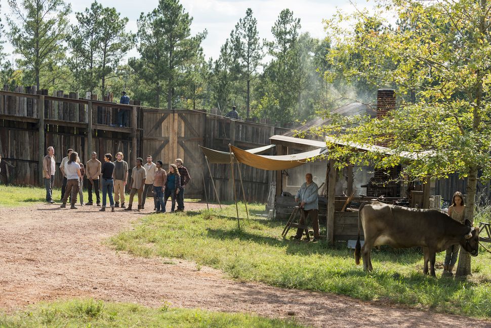 After a Zombie Apocalypse, Here Are 9 Keys to Rebuilding a Civilization ...