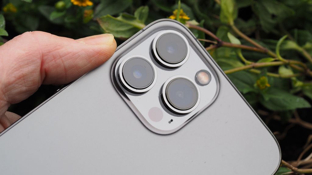 The best iPhone for photography in 2025 | Digital Camera World