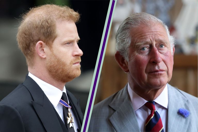 King Charles will read Prince Harry's memoir before deciding on ...