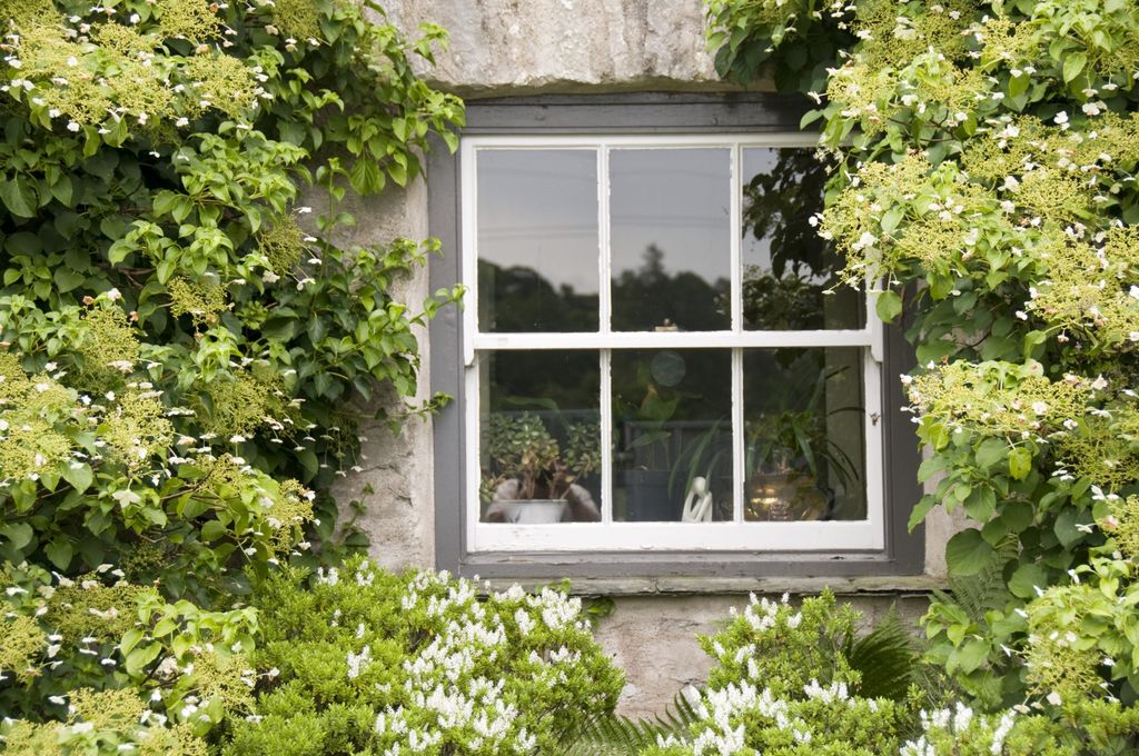 The great sash-window debate: Repair, replace or drag them into the ...