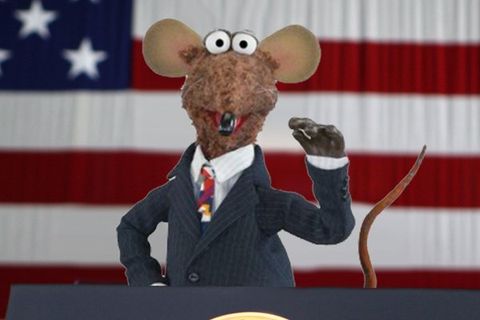 The Top 25 Muppet Characters, Ranked | Cinemablend