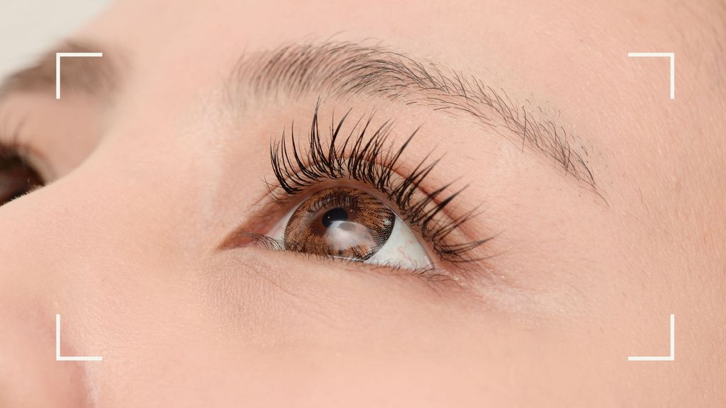 Lash perm vs lash lift: What's the difference and which is best ...