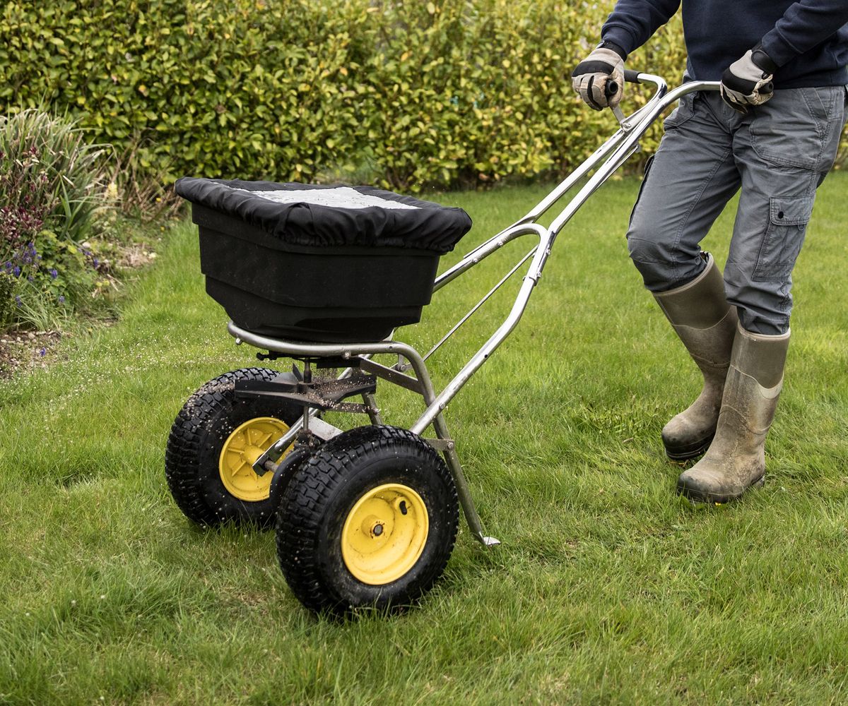 Why using sand on lawns could be the answer to perfect grass | Homebuilding