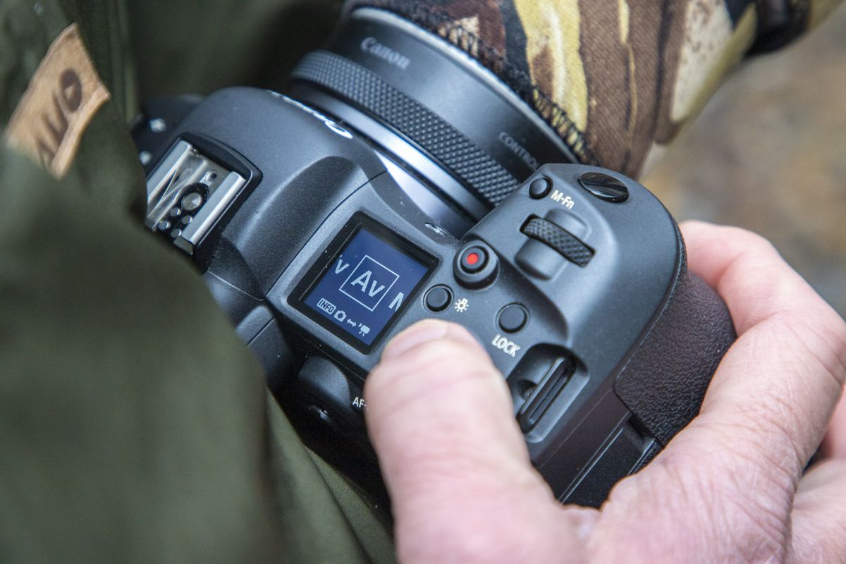 10 pro photo tips for amazing bird portraits with Canon cameras ...