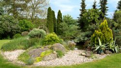 Intruder proof hedge plants: 10 ways to boost home security | Homes and ...