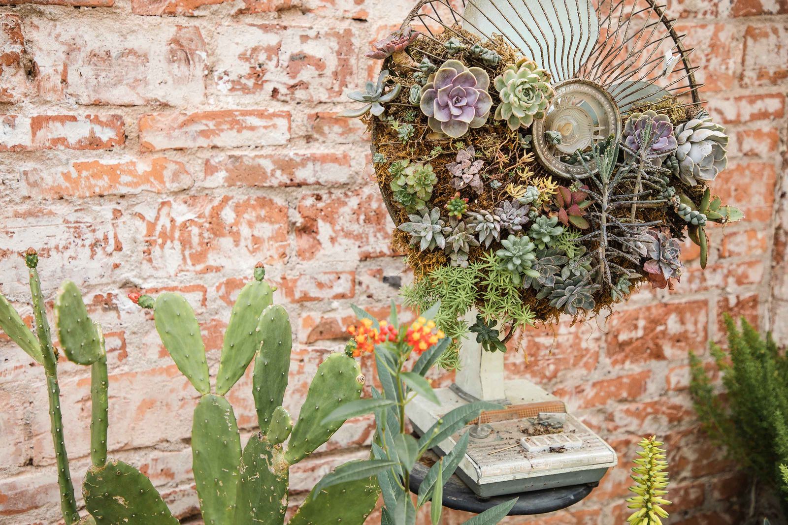 Cactus garden ideas: 12 ways to welcome these prickly plants into your ...