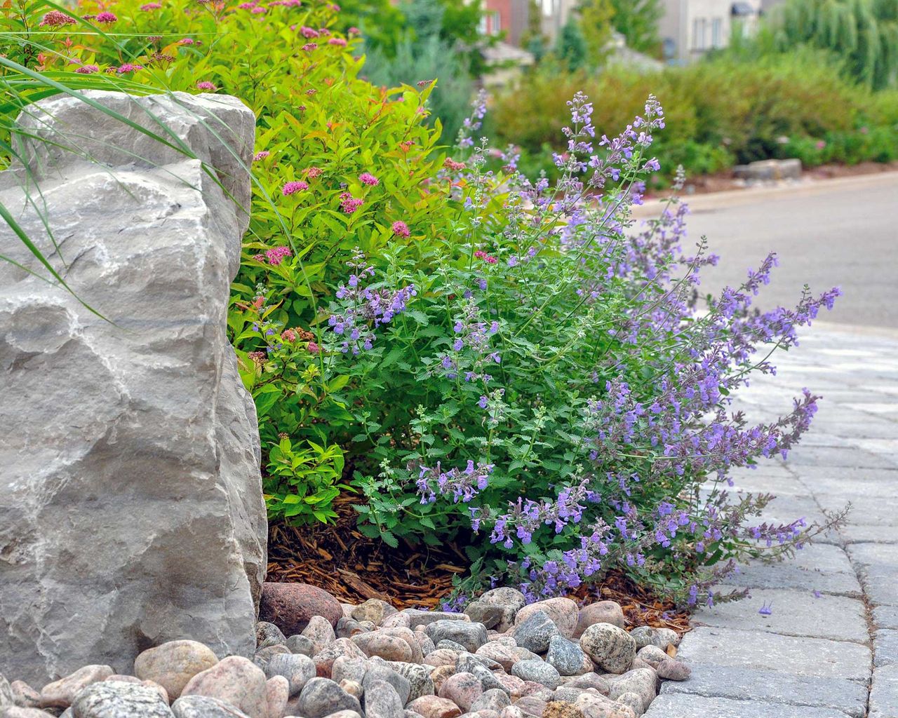 Landscaping with river rocks: 10 stylish looks for backyards | Gardeningetc