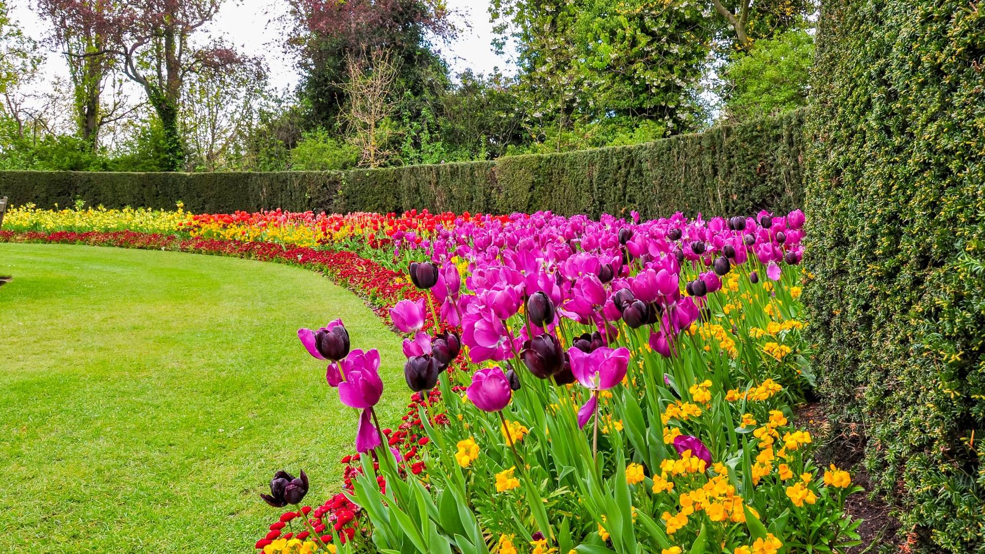 Gardeners Are Using Google Sheets to Plan Their Gardens | Gardening ...