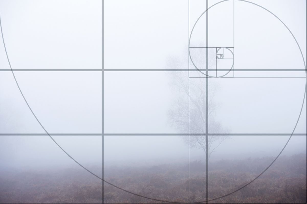 6 classic composition setups | Digital Camera World