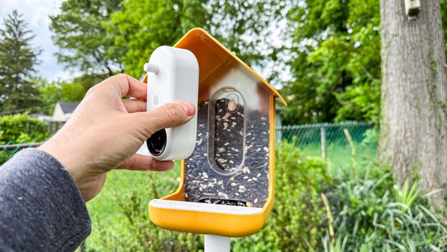 Bird Buddy review | Tom's Guide