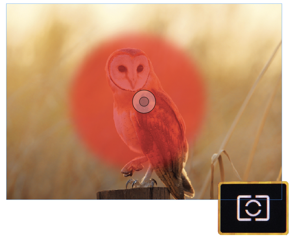 Photography cheat sheet: how to use manual exposure mode | Digital ...