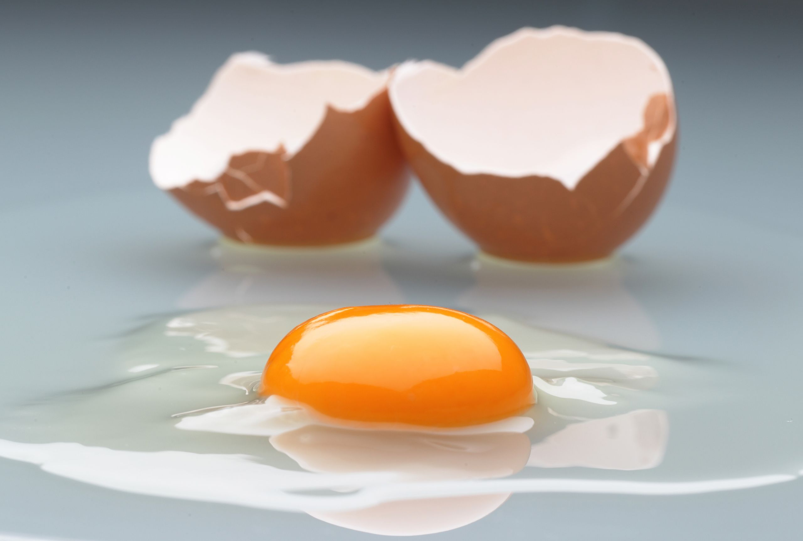 The famous Instagram egg has revealed its secrets. The first: Social ...