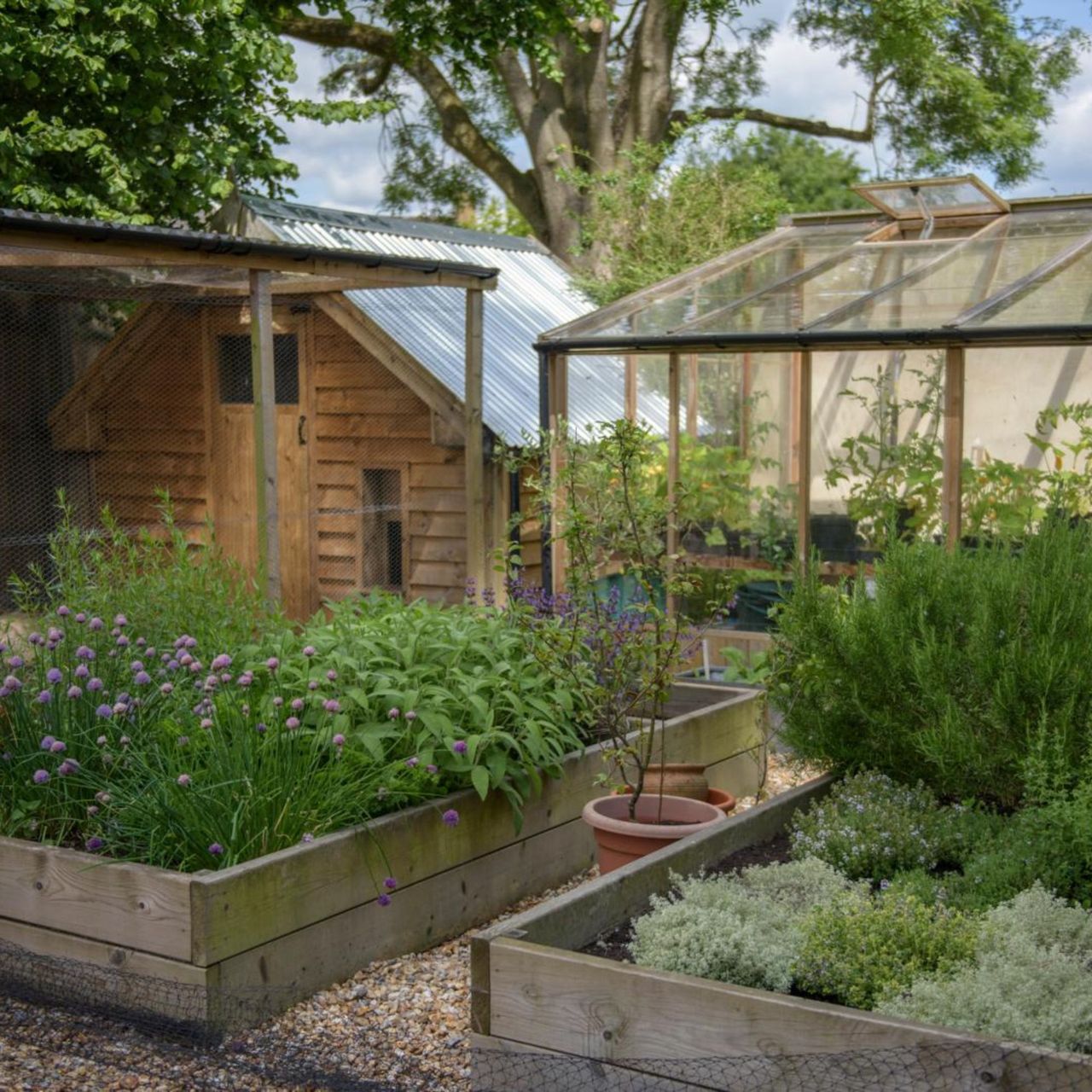 How to sow seeds successfully – an expert guide | Ideal Home