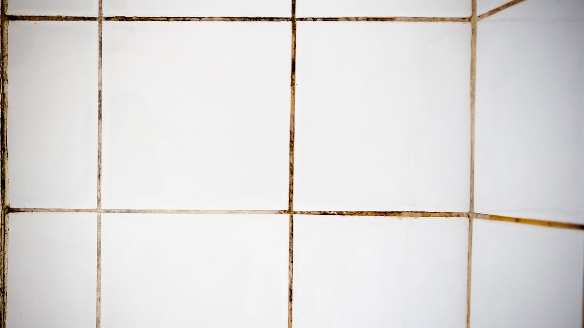 How to remove mould from grout in bathrooms and kitchens | Homebuilding