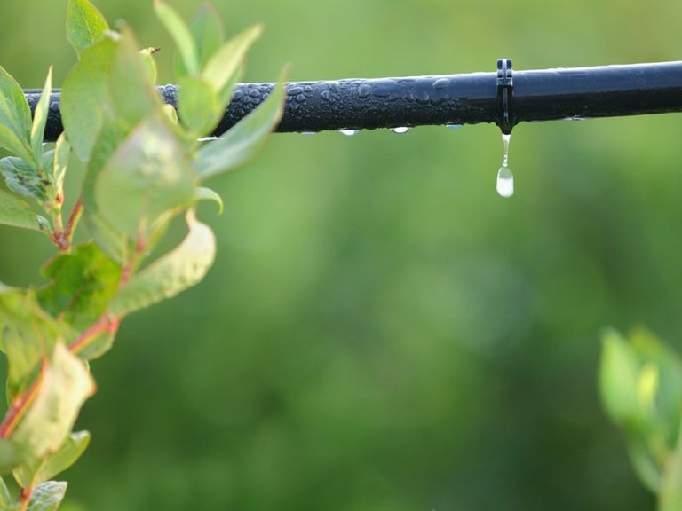 Prepare Your Garden For Winter - Draining And Storing Drip Irrigation ...
