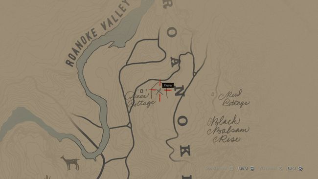 Red Dead Redemption 2 rock carvings | GamesRadar+