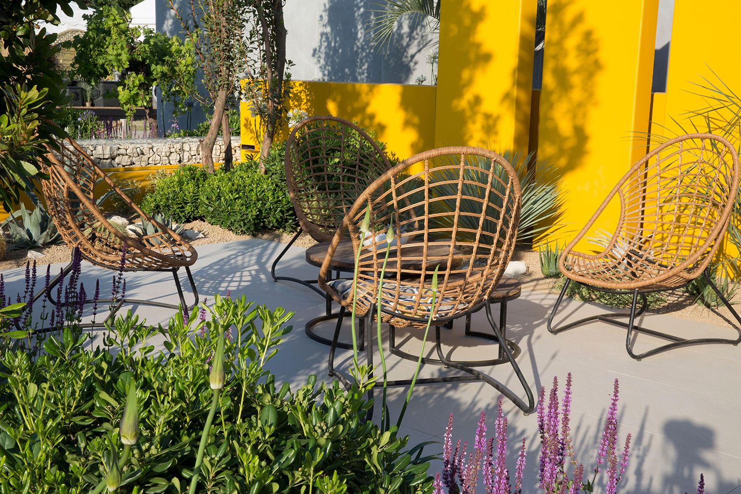 How to choose plants for your modern garden: 10 designer tricks that ...