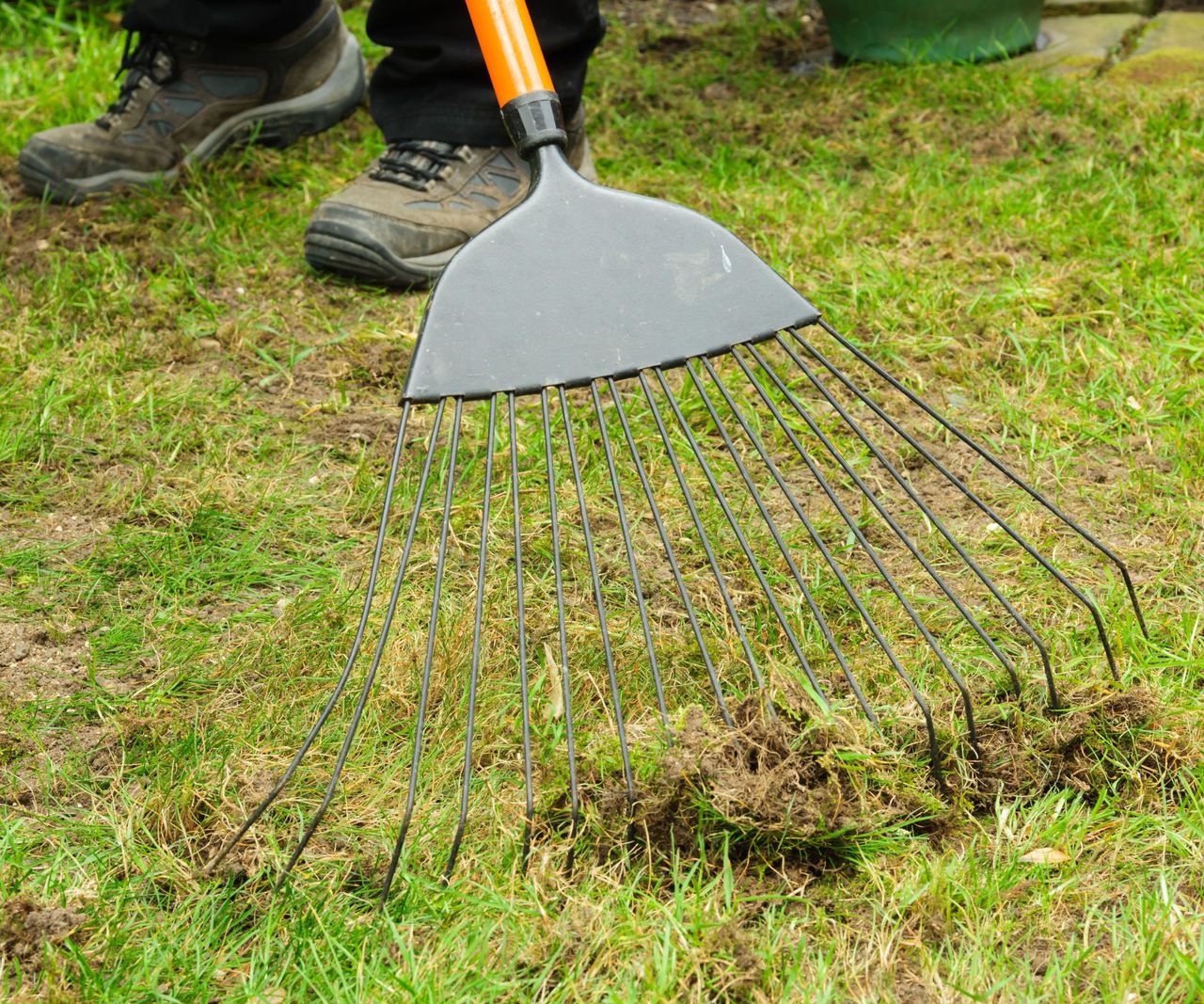 How to dethatch a lawn: and how to prevent thatch forming | Homes and ...