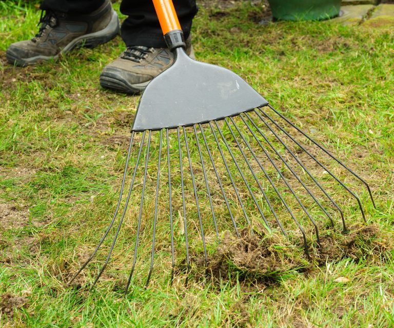 How to dethatch a lawn: and how to prevent thatch forming | Homes and ...