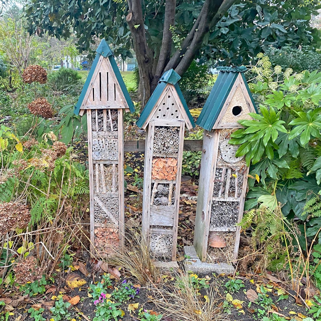 How to make a bug hotel: a step-by-step expert guide | Ideal Home
