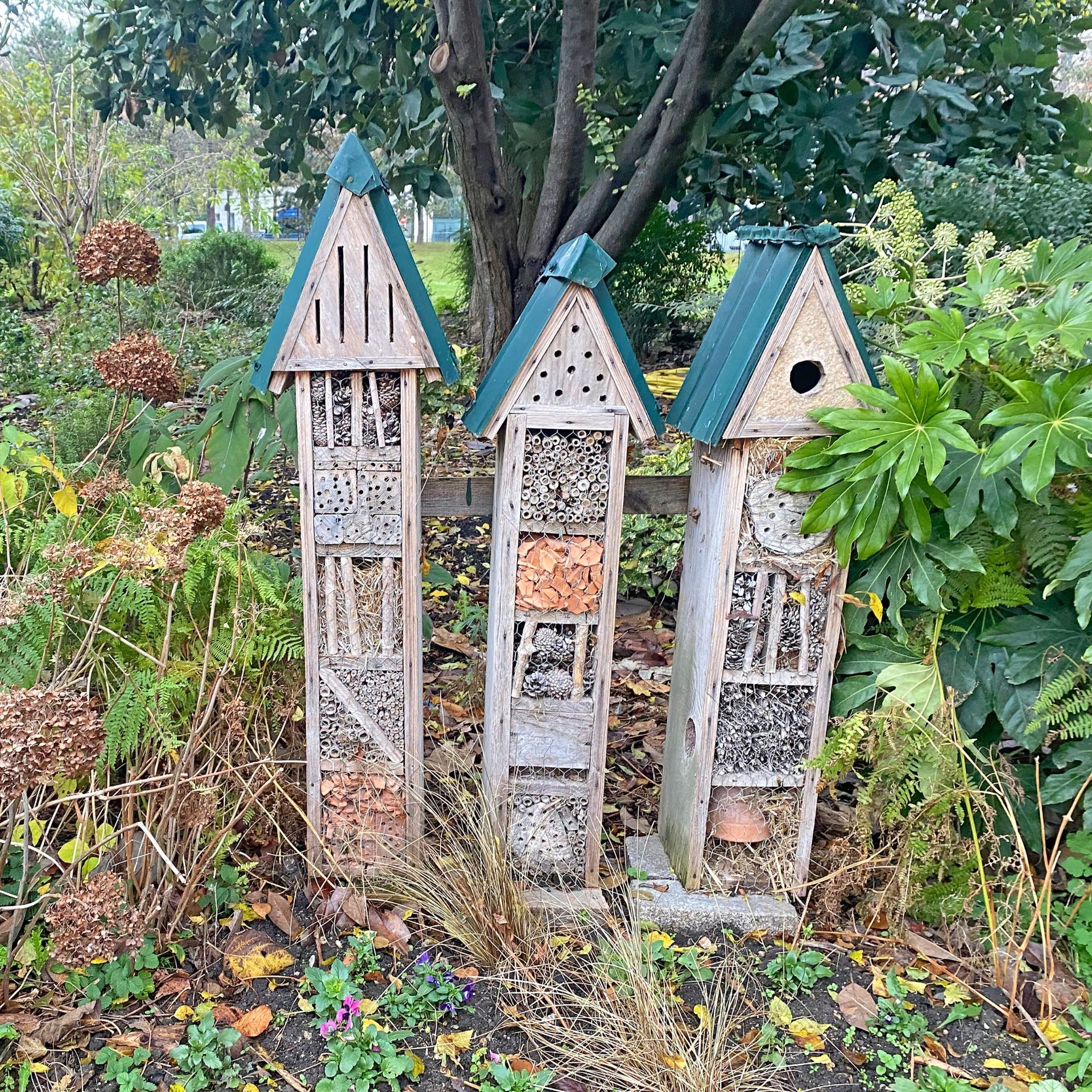 How to make a bug hotel: a step-by-step expert guide | Ideal Home