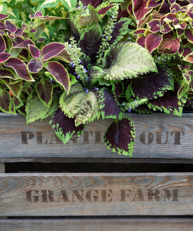 Creative ways to hide sprinkler valves: 5 clever solutions | Gardeningetc