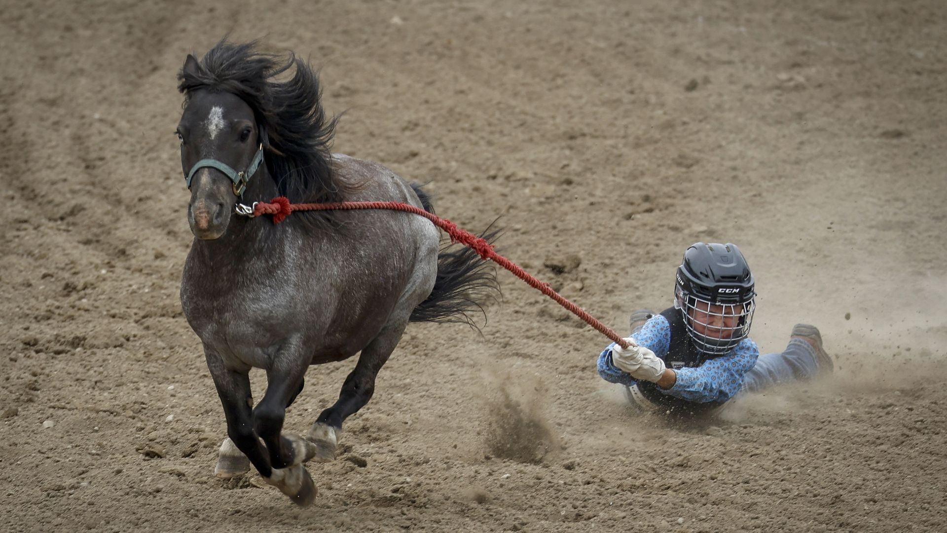 How to watch Calgary Stampede 2025 online from anywhere | Tom's Guide
