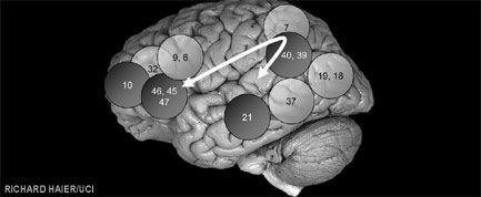 New Theory: How Intelligence Works | Live Science