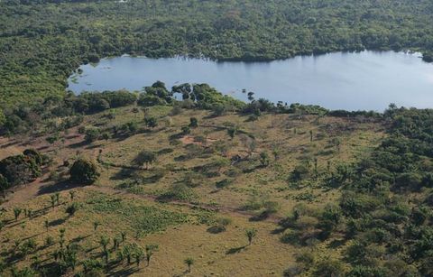 In Photos: Earthworks Scattered Throughout the Amazon | Live Science