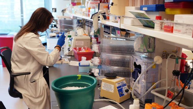 Science News, Latest Scientific Discoveries | Live Science