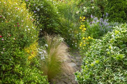 Real garden: enjoy this timeless cottage garden created on a budget ...