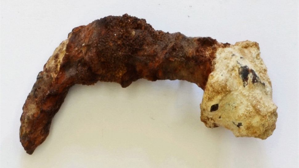 Were these nails used to crucify Jesus? New evidence revives ...