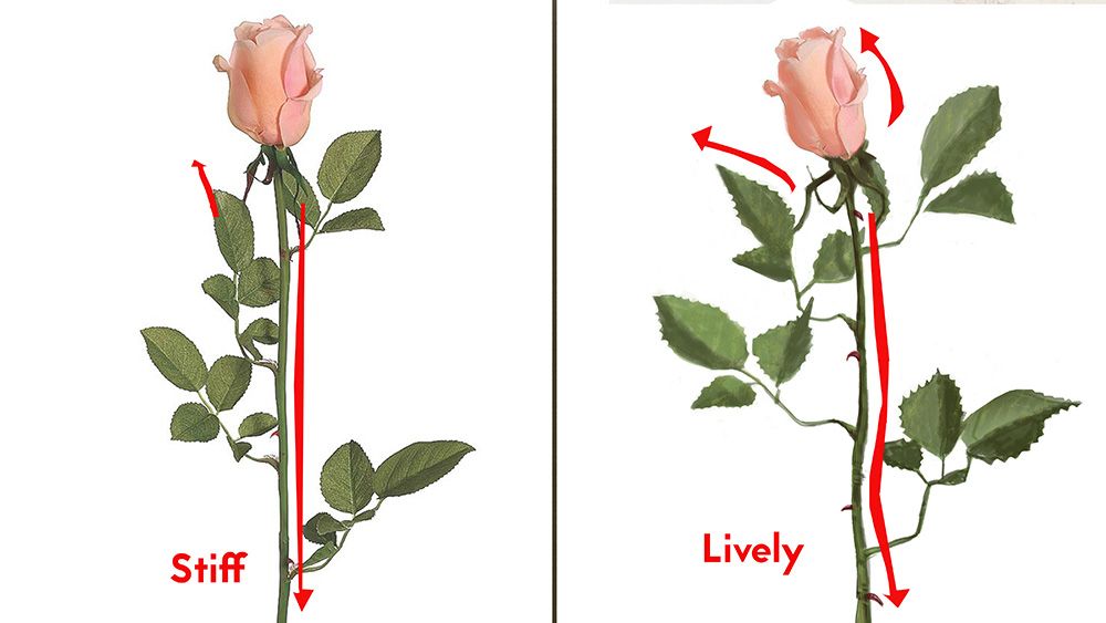 How to draw a rose: Beginner and advanced tips | Creative Bloq