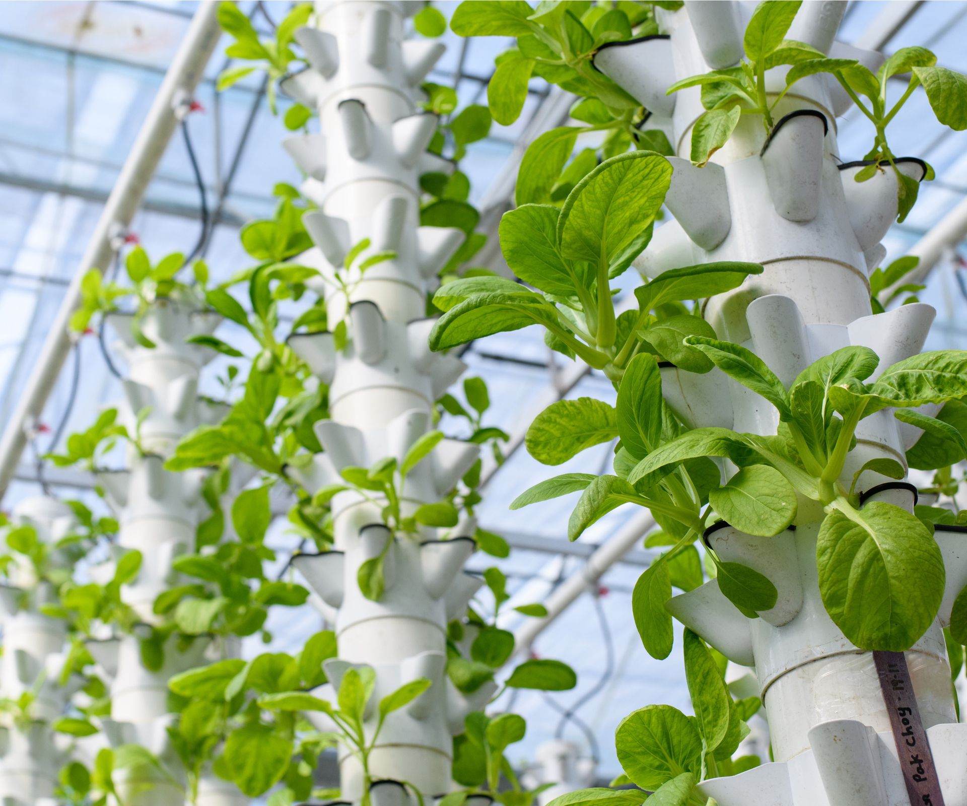 DIY hydroponic garden ideas: 5 easy and affordable set-ups | Homes and ...