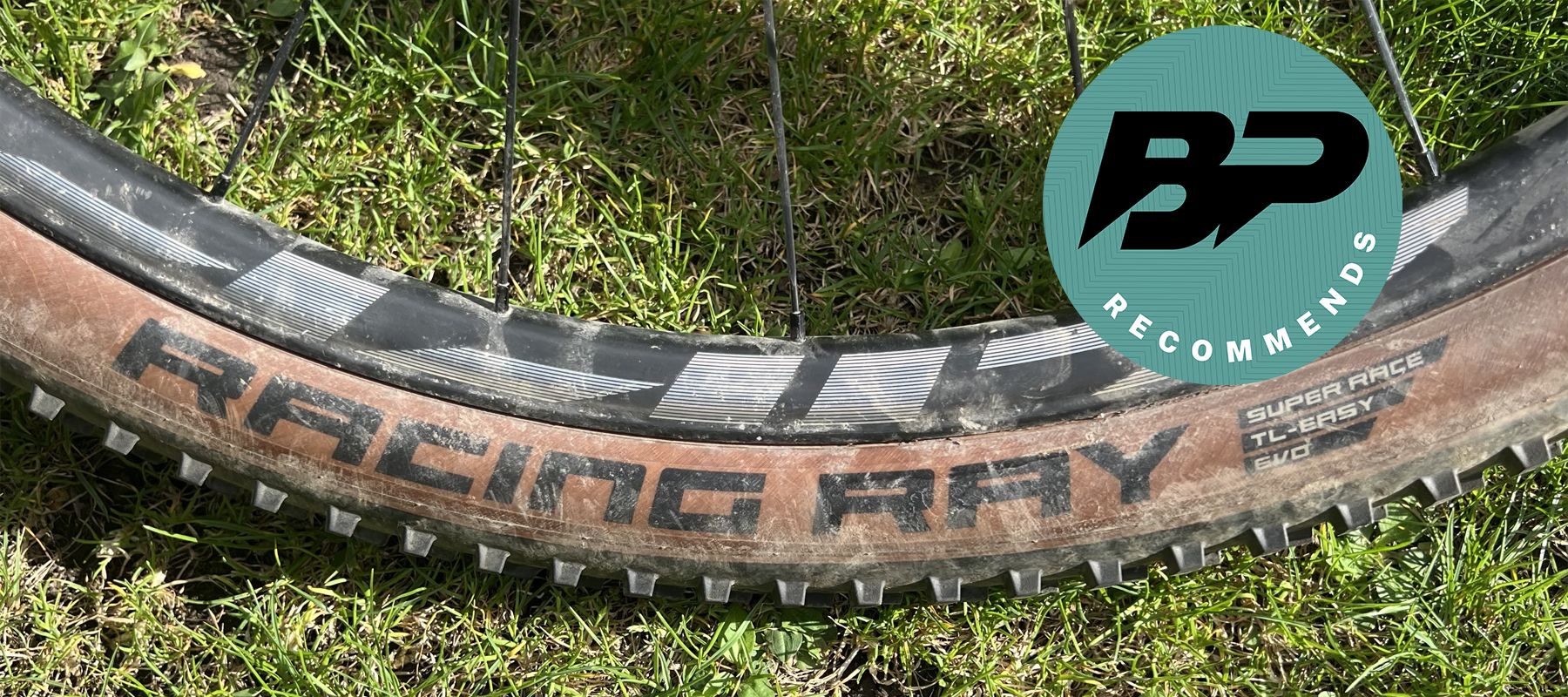Schwalbe Racing Ray review | Bike Perfect