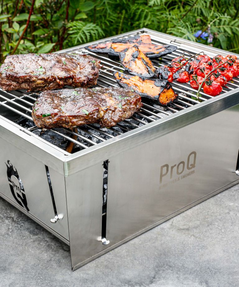 ProQ’s Flatdog BBQ folds as thin as a laptop | Gardeningetc