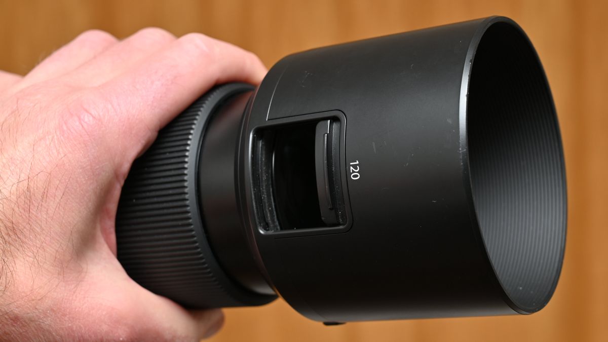 Fujifilm GF 120mm f/4 Macro R LM OIS WR review: a powerful medium ...
