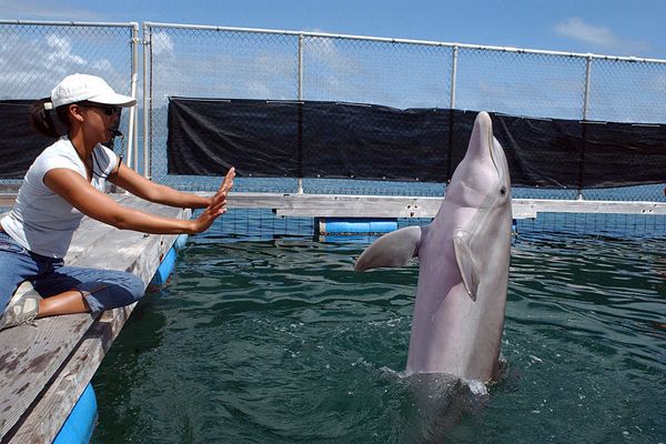 13 Ways to Hunt Intelligent Aliens | Live Science