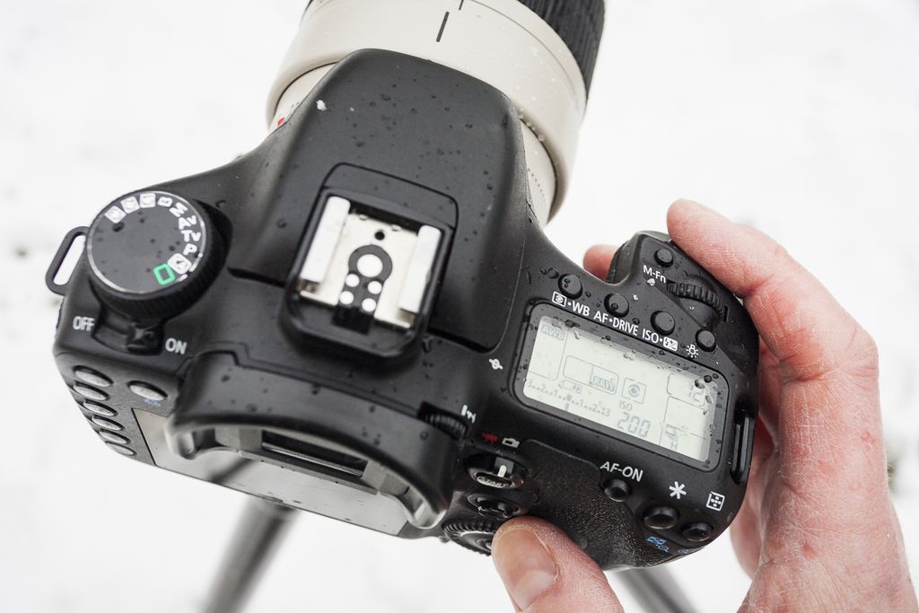 Canon School: Make the most of autofocus on your Canon EOS camera ...