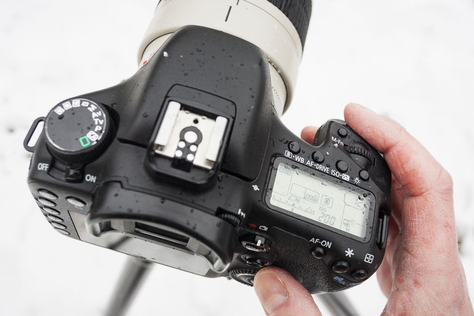 Canon School: Make the most of autofocus on your Canon EOS camera ...