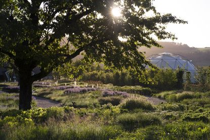 Exclusively tour Piet Oudolf's Vitra Garden | Wallpaper*