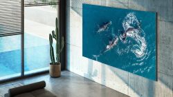 Bezel-less tile OLED TVs could be the future of large-screen displays ...