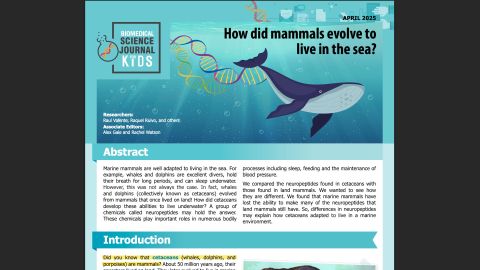 What is Science Journal for Kids? How to Use It to Teach | Tech & Learning