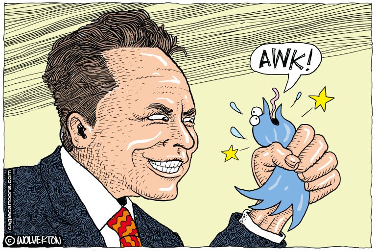 7 scathing cartoons about Elon Musk's Twitter takeover | The Week