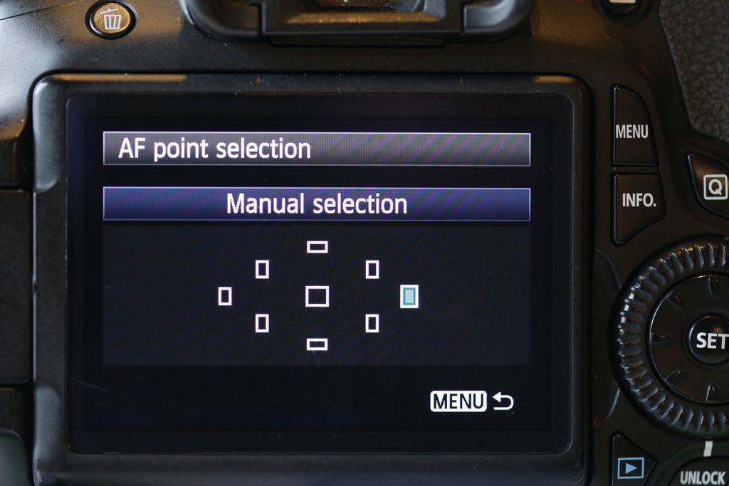 Home photography ideas: Bird photos from your kitchen window! | Digital ...