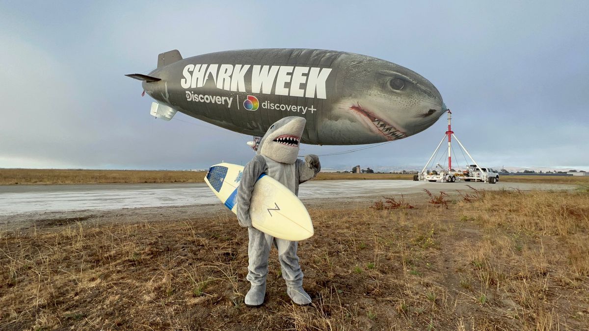 Watch Shark Week 2022: how to stream the fin-tastic Discovery special ...