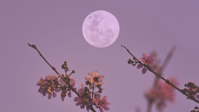April's full moon decides the date of Easter — here's how it works | Space