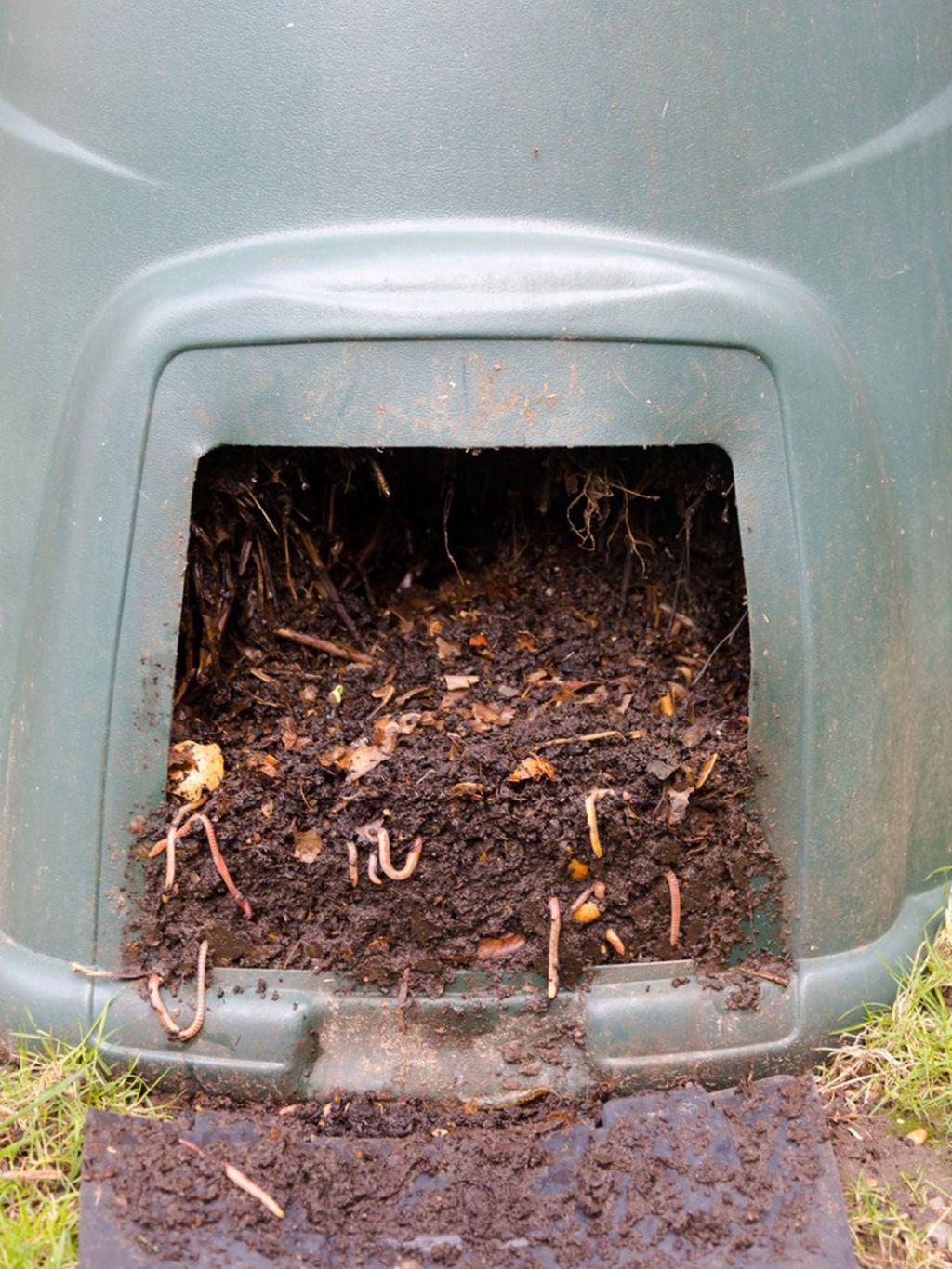 High Heat And Worm Bins - Tips For Vermicomposting When It's Hot ...
