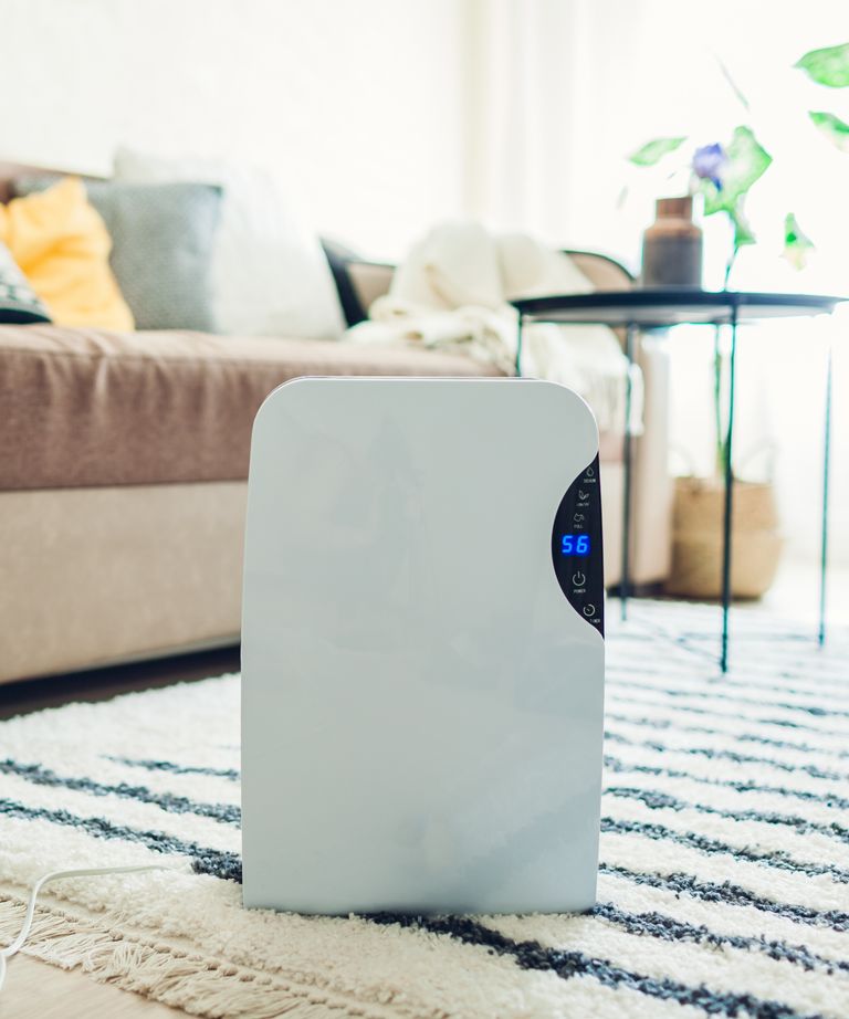 How much does it cost to run a dehumidifier? | Homes and Gardens