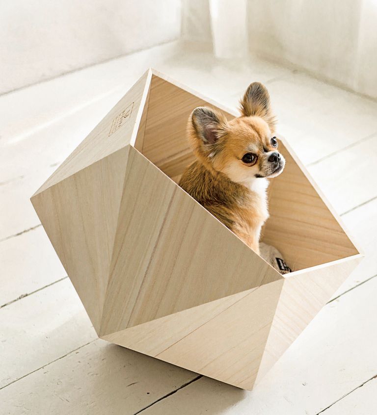Pet Houses And Pet Architecture: The 10 Chicest Pet Homes